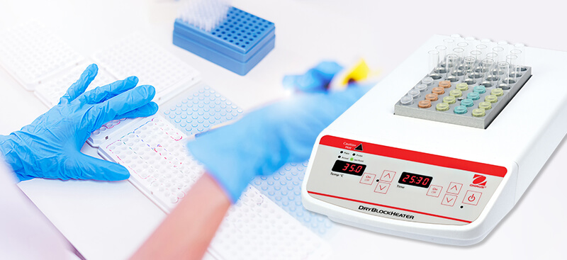 Sandwich ELISA Laboratory Protocol | OHAUS